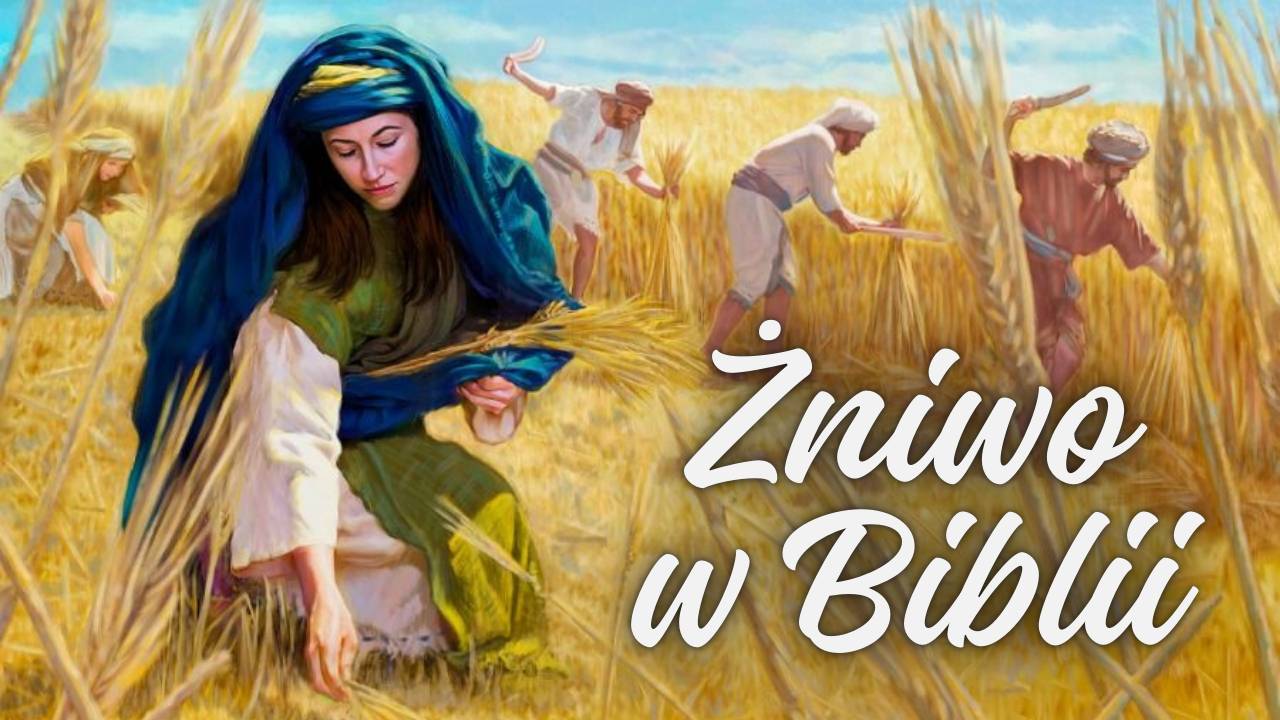 Żniwo w Biblii – Badacze Biblii